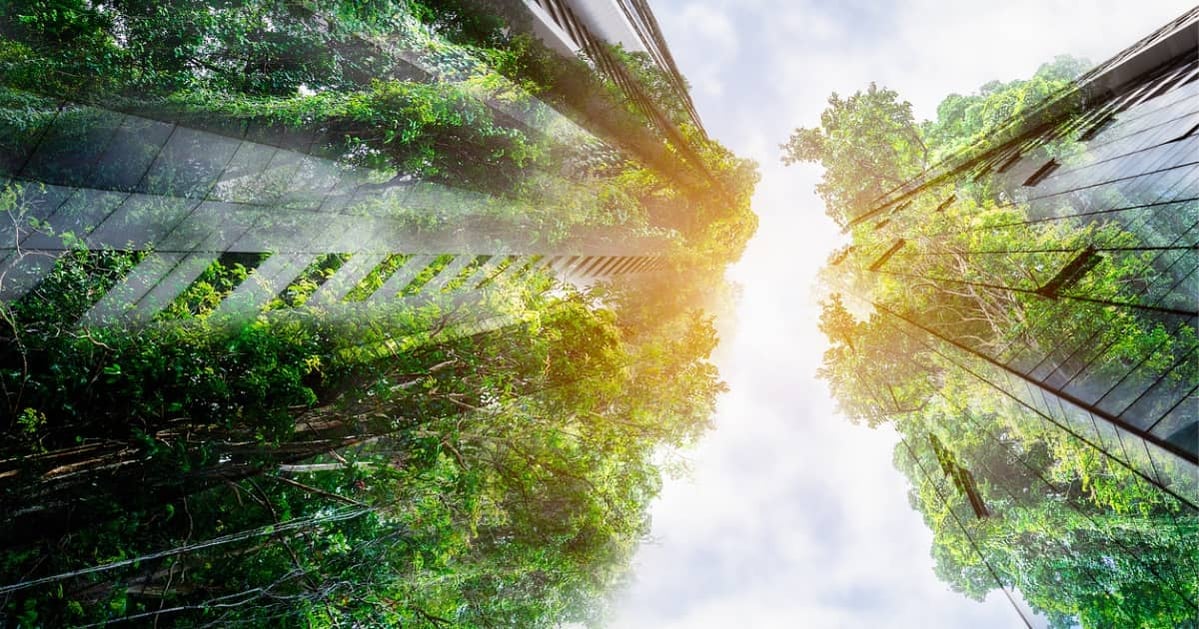 Smart and Sustainable Cities: What Does It Mean?