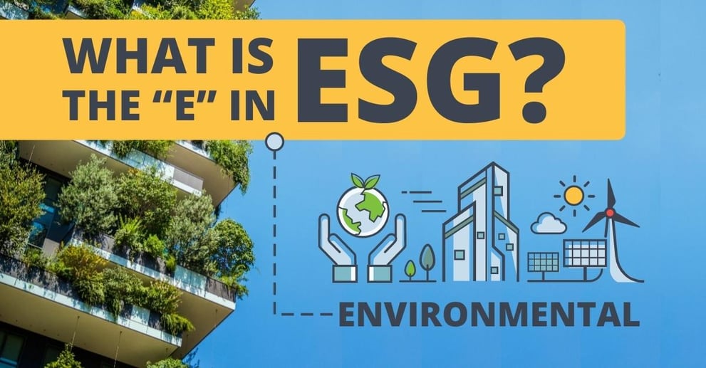 Environmental: The E in ESG